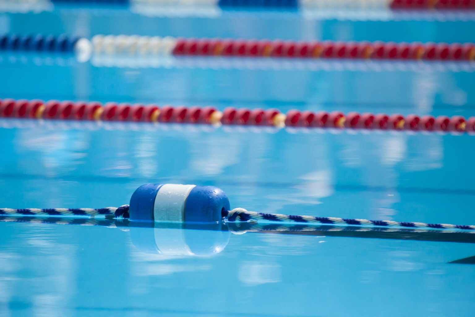 Unveiling the Truth About Swimming Pool Lane Markers: 8 Key Facts ...