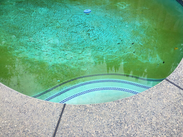 The Limitations of Chlorine in Eliminating Pool Algae | Swimmer Living