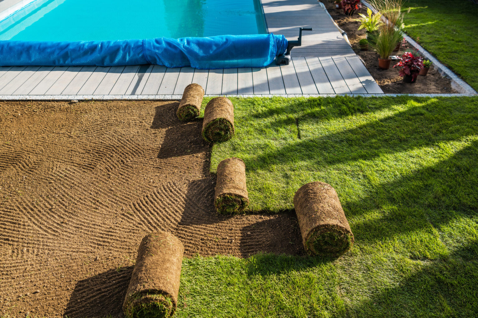 7 Easy Low Maintenance Pool Landscaping Ideas - Swimmer Living