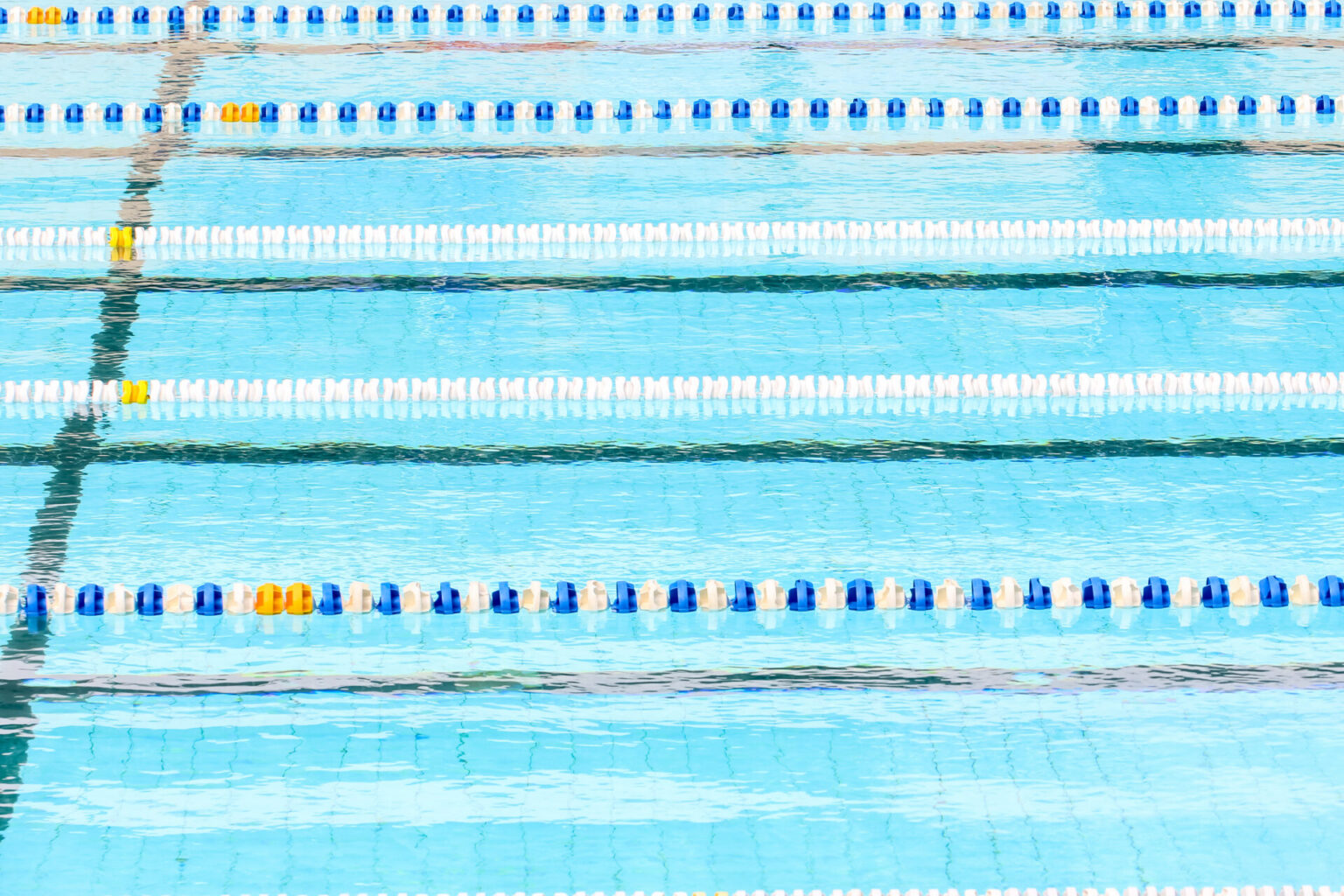 Unveiling the Truth About Swimming Pool Lane Markers: 8 Key Facts ...