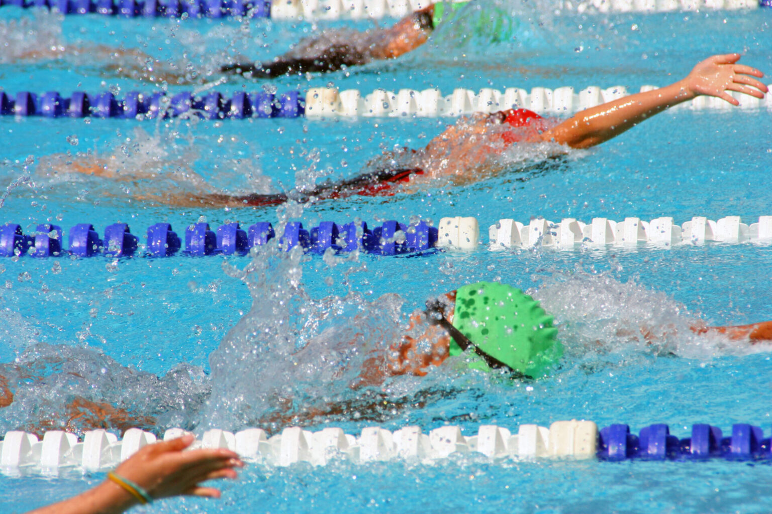 Unveiling the Truth About Swimming Pool Lane Markers: 8 Key Facts ...