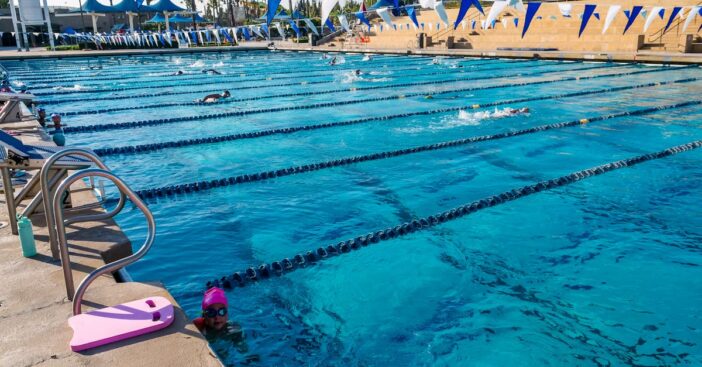 12 Best Pool Deck Drainage Safety Measures for Families That Every Parent Should Know - Swimmer ...