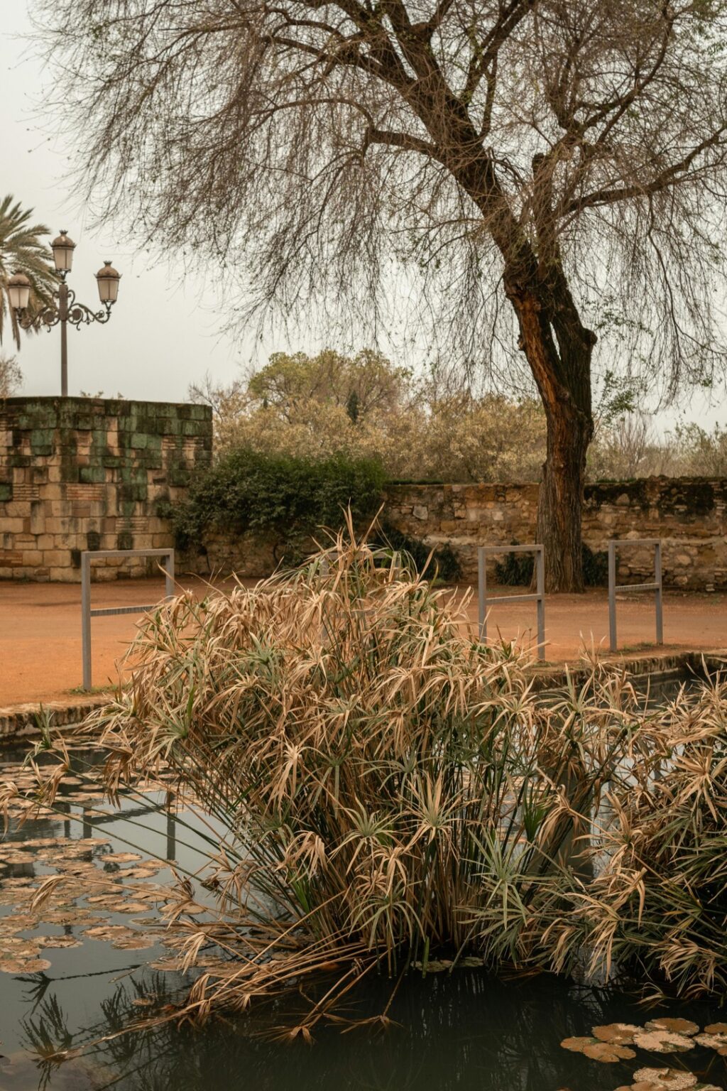 10 Best Algae Removal Systems for Backyard Water Features That Every ...