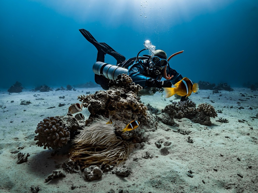 7 Community Tips for Finding Lost Gear in Water That Divers Swear By ...